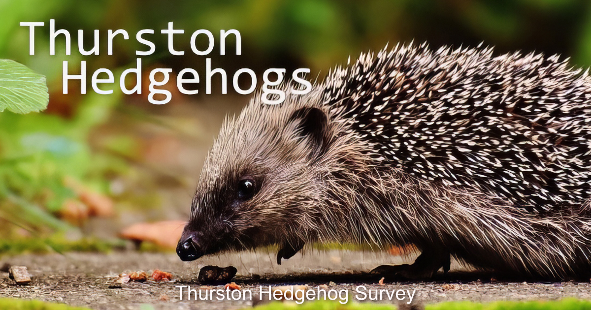 Thurston Hedgehog Survey