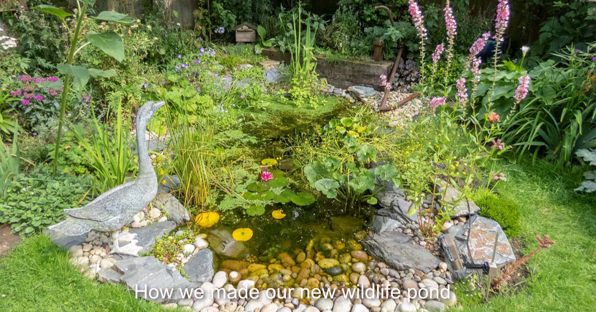 Making Wildlife Pond How To Make A Garden Pond: A Step By Step Guide